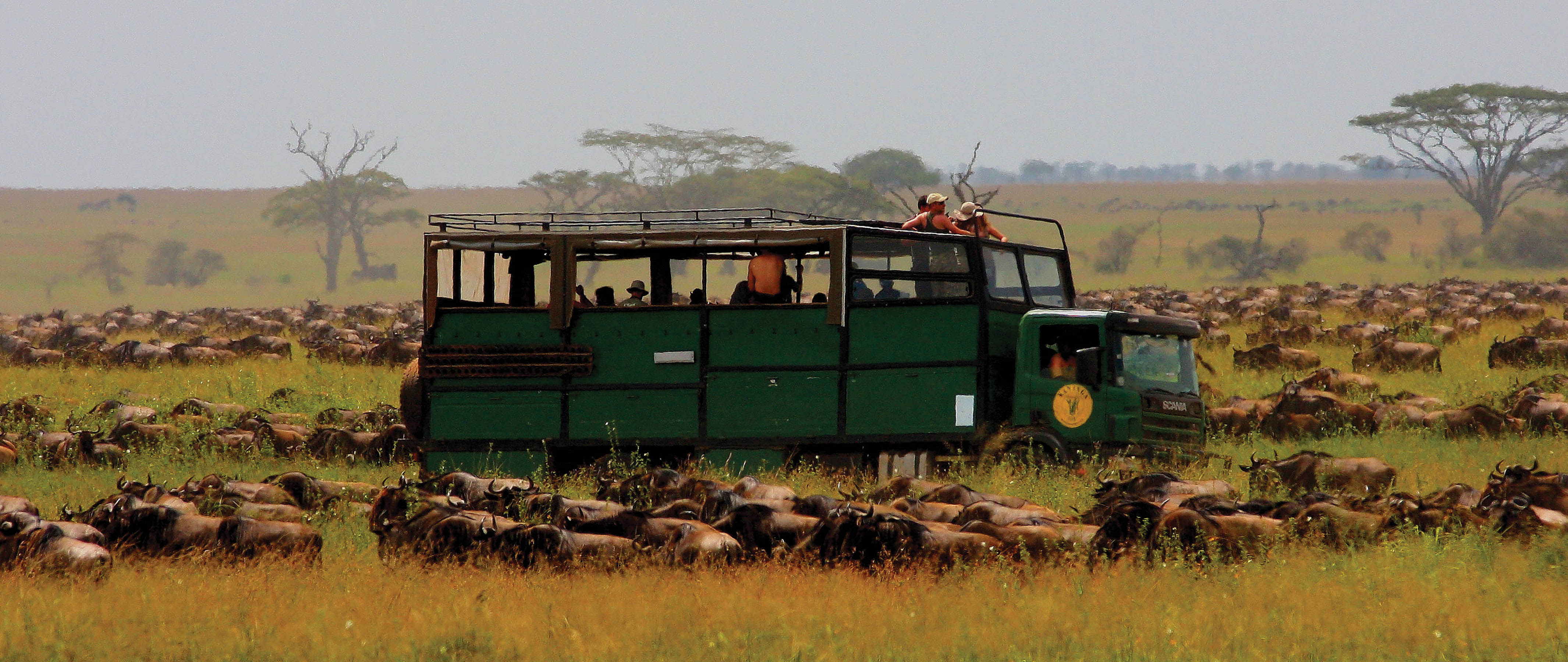 Our Trucks | Kananga International